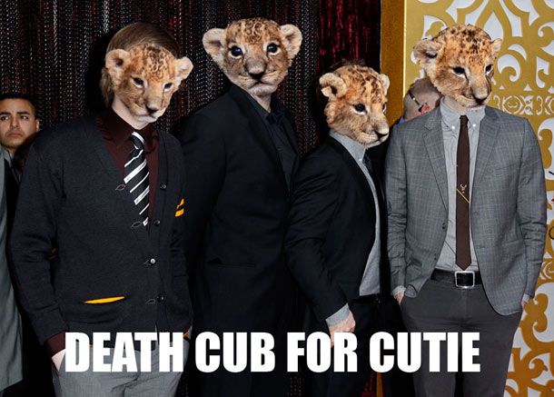 21 Ridiculous Pop Star/Animal Puns - Can You Do Better?