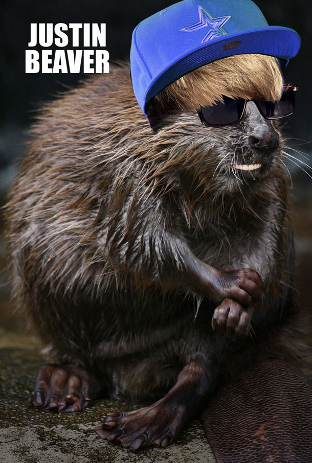 21 Ridiculous Pop Star/Animal Puns - Can You Do Better?