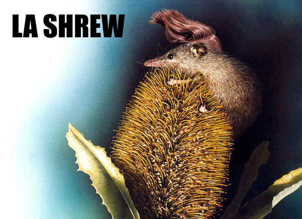 21 Ridiculous Pop Star/Animal Puns - Can You Do Better?