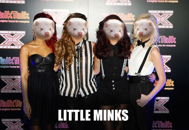 21 Ridiculous Pop Star/Animal Puns - Can You Do Better?