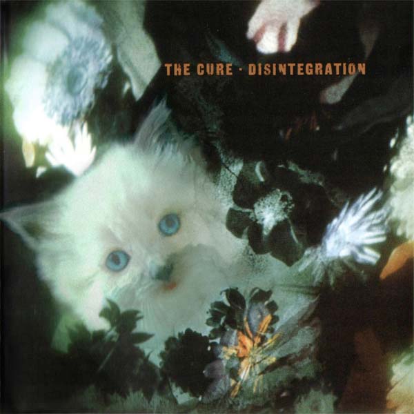 28 Kittens On Album Covers