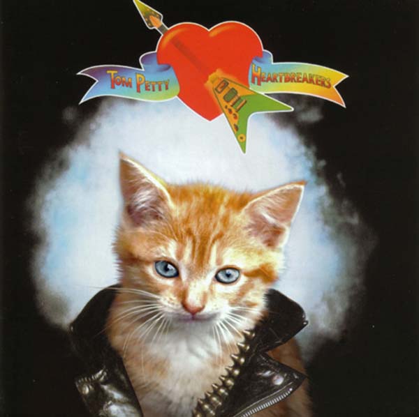 28 Kittens On Album Covers