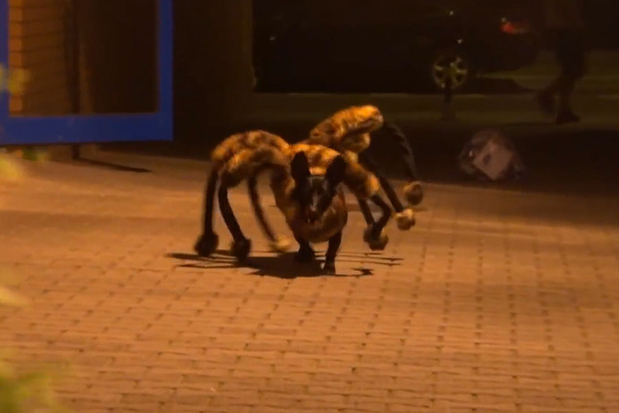 'Mutant Giant Spider Dog' named YouTube's top trending video of 2014 - NME