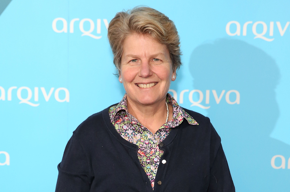 Stephen Fry steps down as 'QI' host after 13 years