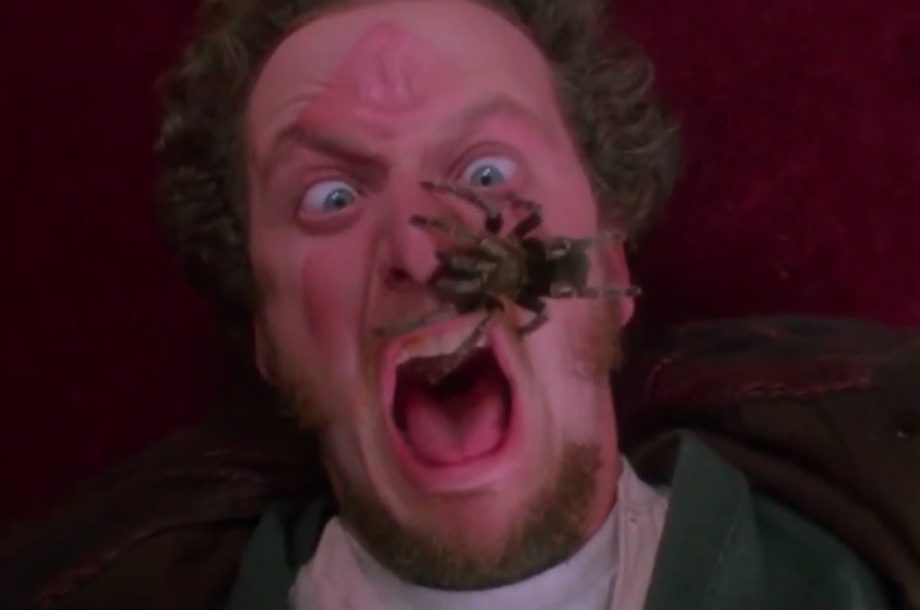 Home Alone's Wet Bandit Has Responded To The Grown-Up Kevin McCallister ...