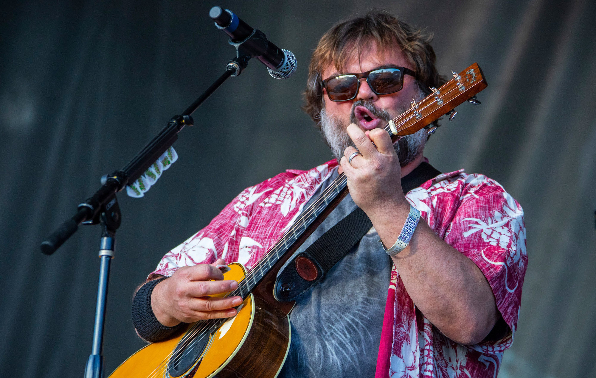 Tenacious D announce Dave Grohl-featuring new album and animated series ...